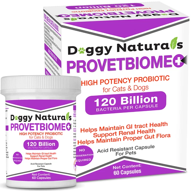 PET HEALTH PHARMA Pro Vetbiome Plus High Potency Probiotics for Dog ...