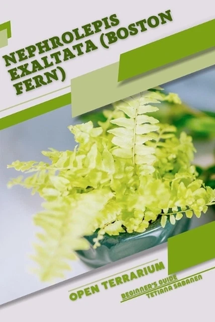 NEPHROLEPIS EXALTATA (BOSTON Fern): Open terrarium, Beginner's Guide by ...