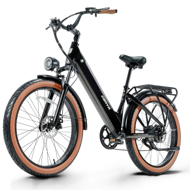 ELECTRIC BICYCLE 48V 20AH E-Bike Fat Tire E-Mountainbike 25km/h Step ...