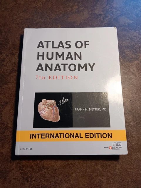ATLAS OF HUMAN ANATOMY Frank H. Netter, 7th Edition 2019 International ...