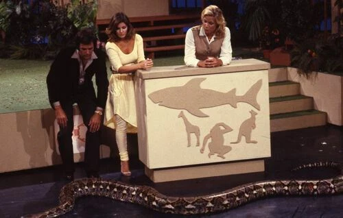 PRISCILLA PRESLEY ORIGINAL 35mm Coulissant Avec Géant Python Abc ...