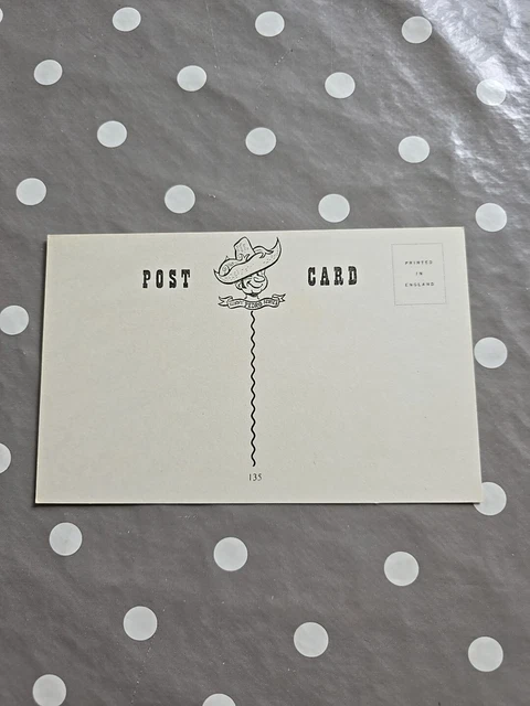 VINTAGE SAUCY SEASIDE Comic Postcard Sunny Pedro Series No 135 By Pedro ...