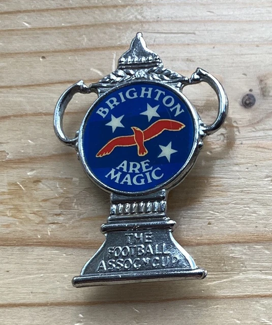 RARE VINTAGE 1970S BRIGHTON & HOVE ALBION FC ARE MAGIC METAL FA CUP ...