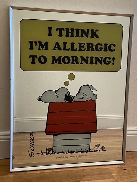LARGE VINTAGE SNOOPY/PEANUTS/SCHULZ Mirror I Think I’m Allergic To ...