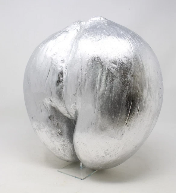 COCO DE MER, Original Replica Artist F.Zimmermann Seychellen, 35 x 35 x ...