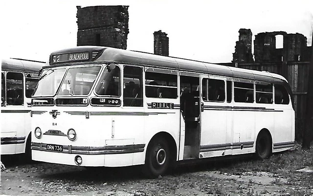 BUS PHOTO: DRN736 Ribble MS (814). 1951 Leyland Royal Tiger PSU1/15 ...