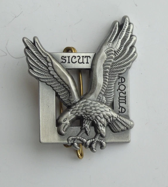 FRENCH AIR FORCE Commando 'Commandos de L'Air' Brevet/Badge £6.99 ...