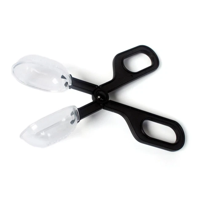 REPTILES FEEDING SCOOPER Amphibians Feeders Tweezers for Reptiles ...