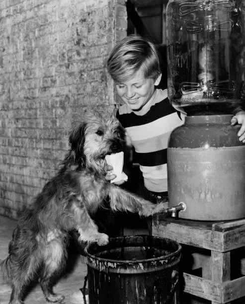 CHILD ACTOR BILLY Gray Gives His Canine Costar Daisy Jr A Drink On Old ...