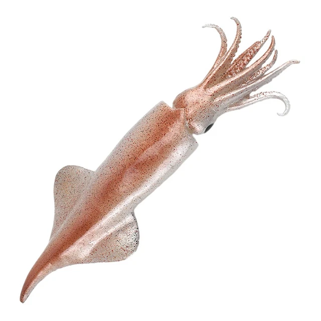 REALISTIC SQUID MODELS Fake Figures Artificial Shrimp Lifelike Cooked ...