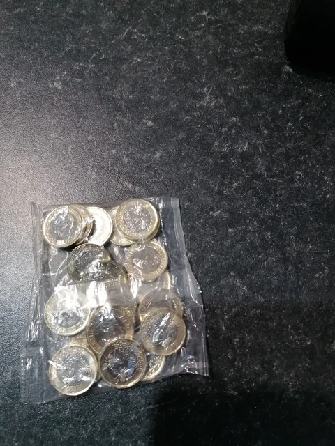 2025 KING CHARLES III Bee One Pound / £1 Coin Sealed Bag Of 20 Coins. £ ...