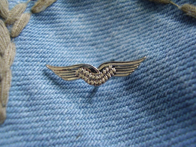 PIN BUNDESWEHR LUFTWAFFE Schwinge Luftwaffenschwinge klein Deutsche ...