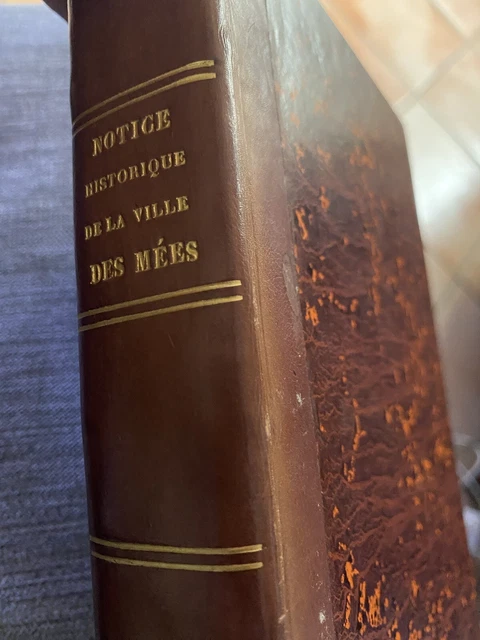 LIVRE ANCIEN RARE Notice Historique De La Ville Des Mées Basses Alpes ...