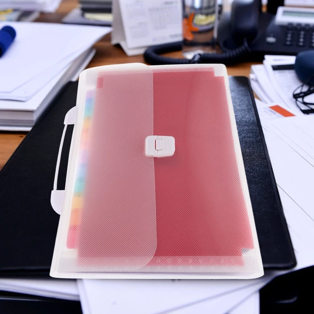 DISPLAY FOLDER MULTI-LAYER File Bag Documents Organizer Organiser $28. ...