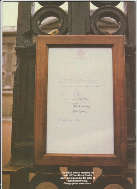 ROYALTY MONTHLY MAGAZINE Oct 1984 Vol.4 No.4 Princess Diana cover Royal ...
