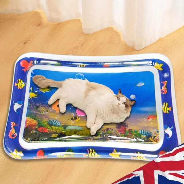 WATER SENSORY PLAYMAT with Fish Sensor Water Playmat Cat Water Play Mat ...