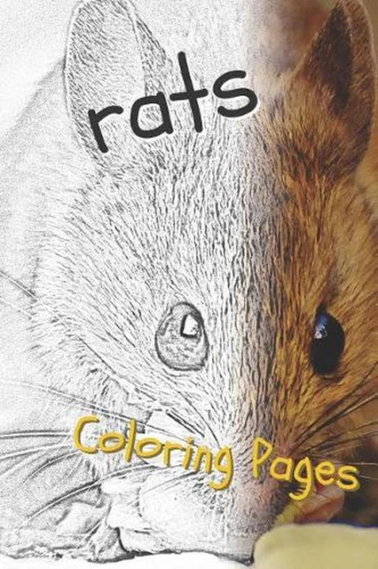 RAT COLORING PAGES: Beautiful Rats Drawings for Kids and for Adults ...