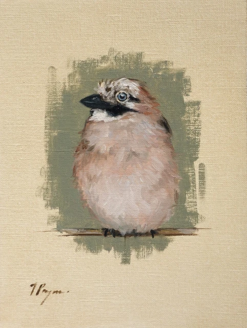 BIRD PORTRAIT jay - original oil painting by UK artist j payne £60.00 ...