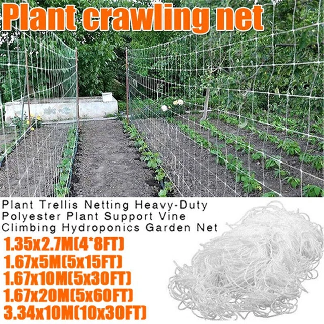 PLANT SUPPORT NETTING Fruit Climbing Mesh Garden Vegetable Pea Bean ...