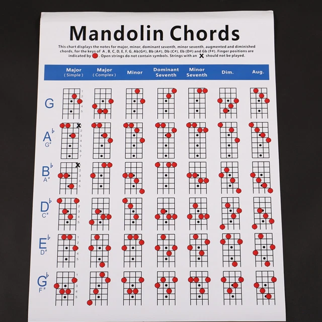 MANDOLIN TRAINING CHORD Beginner Fretboard Notes Chords Chart Poster £ ...