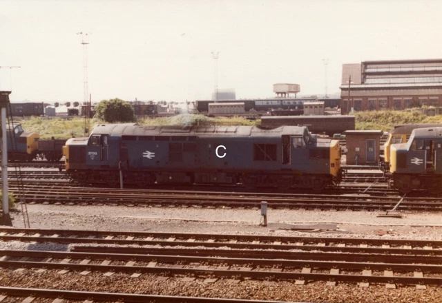 BRITISH RAILWAY B.R Photograph Class 37 - 37013 At Cardiff Canton 28/07 ...