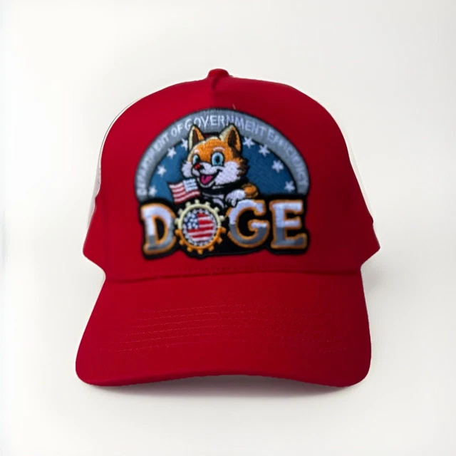 DEPARTMENT OF GOVERNMENT Efficiency DOGE Ball Cap Official DOGE Logo ...