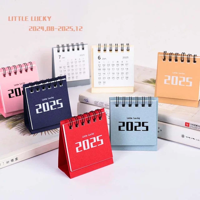 DAILY SCHEDULE 2024 2025 Calendar Coil Standing Flip Mini Desk Calendar ...