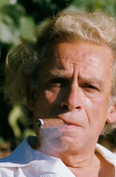 SCREENWRITER SAMUEL FULLER at Home 1970s Old Historic Photo 2 EUR 6,16 ...