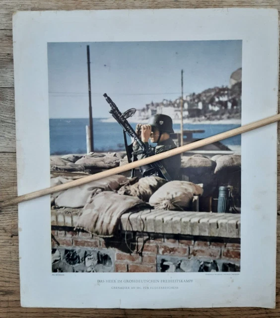 PHOTO WW2 GERMAN SOLDIER panzergrenadier summer uniform MG-42 Heer ...