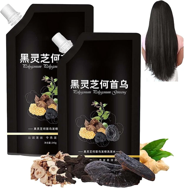 DR. WEN BLACK Ganoderma Polygonum Shampoo, Black Ganoderma and ...