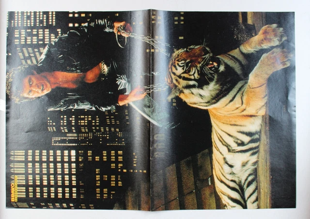 DAVID HASSELHOFF BRAVO Poster - German 80s Magazine Portrait Poster ...