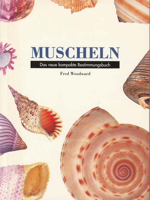 MUSCHELN 💐 BESTIMMUNGSBUCH💐BESCHREIBUNG von über 140 Muschelarten 💐 EUR ...