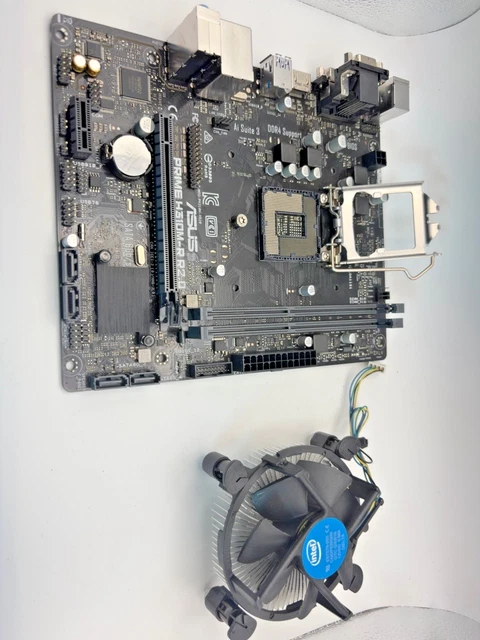 ASUS PRIME H310M-R R2.0 LGA1151 DDR4 Micro ATX Motherboard + Intel ...