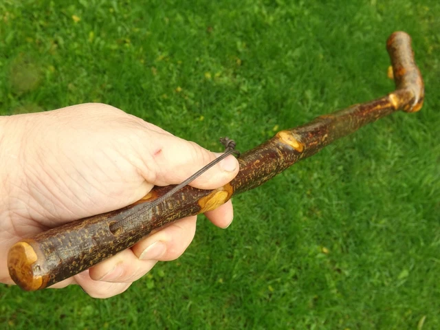 REAL IRISH BLACKTHORN CUDGEL SHILLELAGH BATA FIGHTING STICK SENT FROM ...
