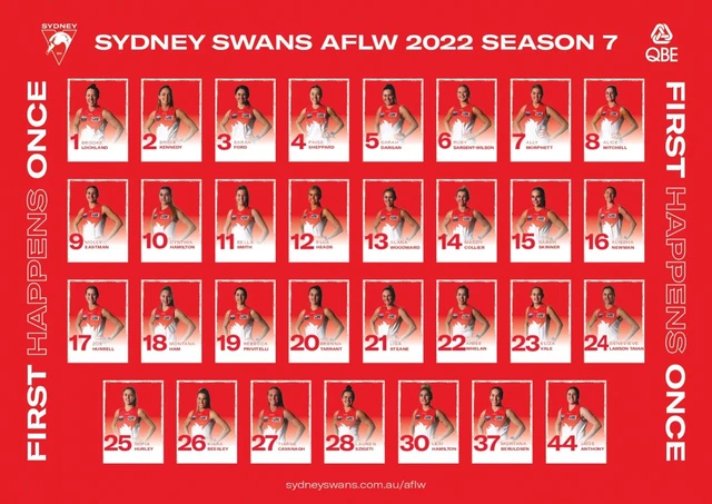 Sydney Swans 2024 Afl Football Team Player Big 420mm Poster Bargain 3