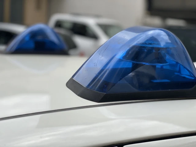 LAMPEGGIANTE A LED Trident Iii Solaris Federal Signal Vama EUR 99,00 ...