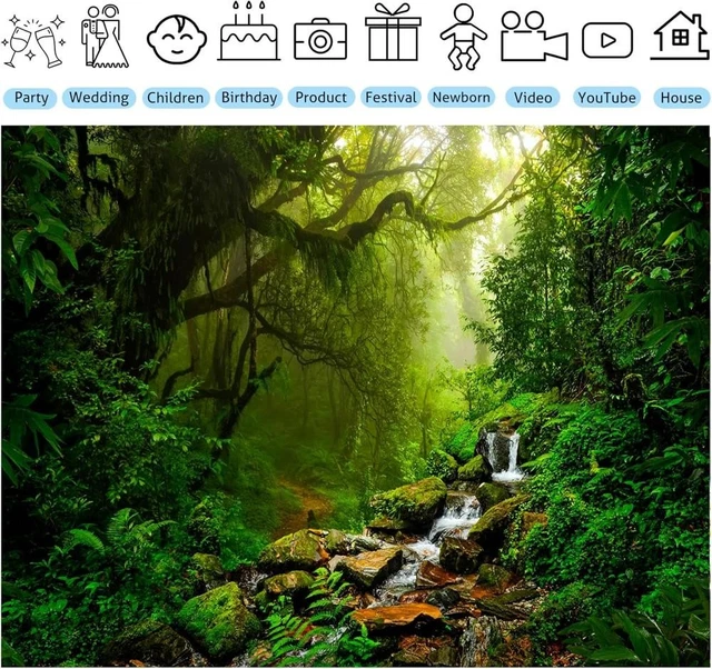 TROPICAL JUNGLE BACKDROP Rain Forest Evergreen Forest Small Waterfall ...