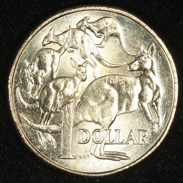 2025 MOR $1 with "Spew Roo" Cud - scarce $19.95 - PicClick AU