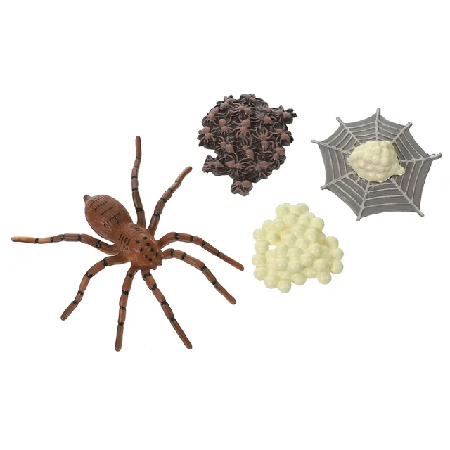 LIFE CYCLE TOYS Spider Figurines Cognitive Model of Preschool £7.39 ...