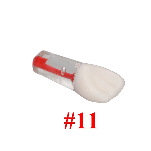 36# DENTAL ENDO Root Canal Model Files Practice Block File Training RCT ...