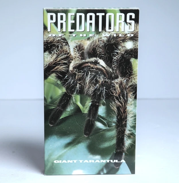 Predators Of The Wild Giant Tarantula Vhs Sealed 10 26 Picclick Uk