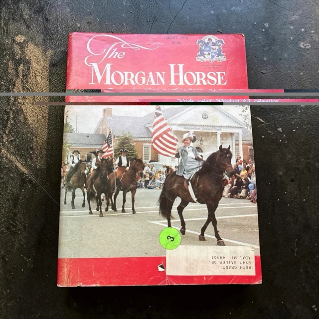 THE MORGAN HORSE Vintage Magazine August 1976 Issue £6.81 - PicClick UK