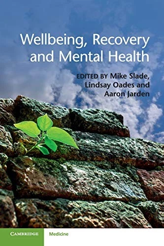 WELLBEING, RECOVERY AND Mental Health Mike Slade New Book 9781107543058 ...