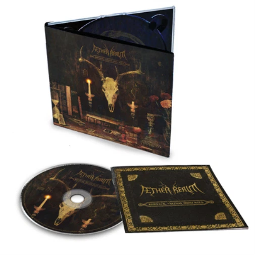 ÆTHER REALM REDNECK Vikings from Hell (CD) Album Digipak EUR 14,85 - PicClick FR