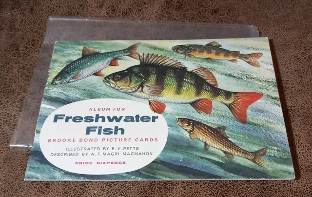 BROOKE BOND FRESHWATER Fish - Full Set Of 50 Cards In Album - Pristine ...