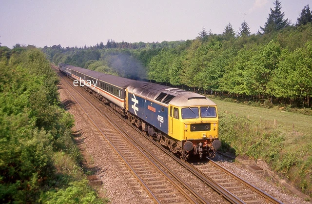 ORIGINAL 35MM SLIDE BR Class 47 loco no.47585 in The New Forest +rights ...