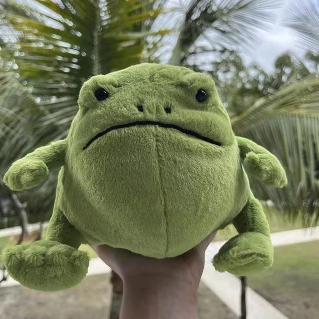 JELLYCAT RICKY RAIN Frog & Timmy Turtle Plush Set - Grumpy Friends BNWT ...