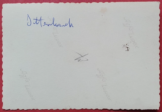 FOTO PIMPFE PORTRAIT in Uniform Deutsche Jugend Pimpf German Youth Boys ...