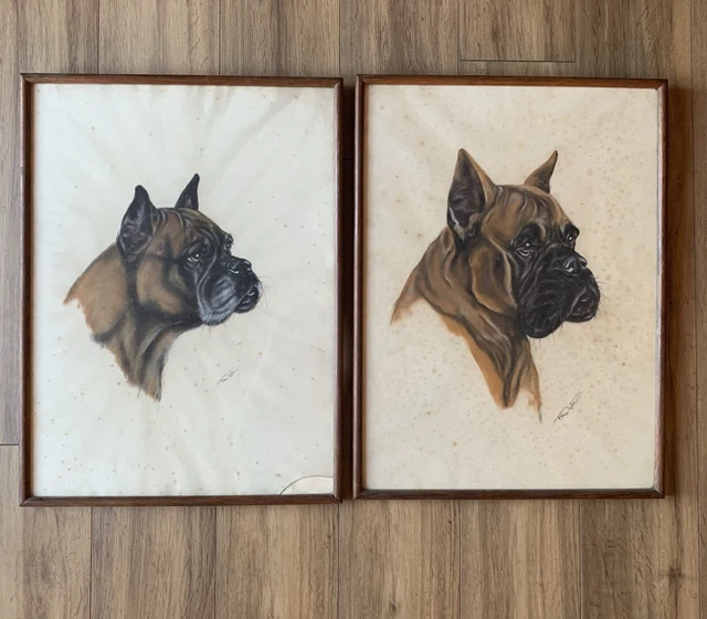 GRANDE PAIRE D’ANCIENS Dessins Au Pastel, Portraits De Profils De Chiens Boxer-2 EUR 200,00 ...