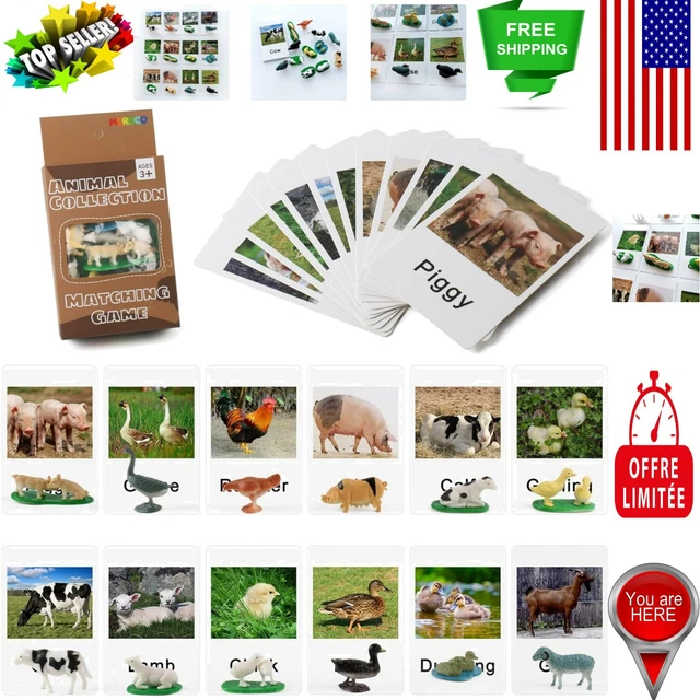 MONTESSORI FARM ANIMAL Matching Cards Set: 12 Figures for Early ...